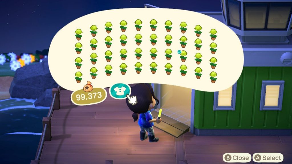 40 x Hybrid Green Mum flower plants to be planted on your island - elymbmx